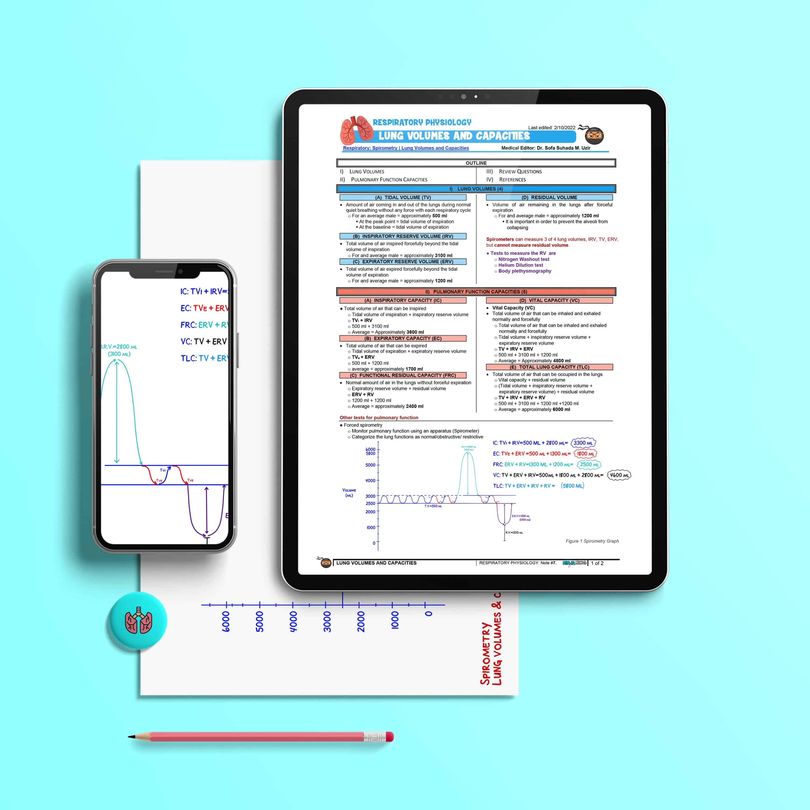 Spirometry: Lung Volumes & Capacities - Illustrations - NinjaNerd Medicine